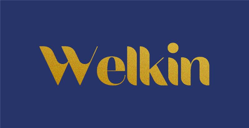 Welkin Powered by Claritus Consulting | Enterprise Tech